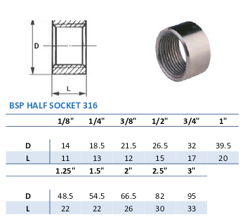 BSP Half Socket | Stainless Steel Vessels Limited