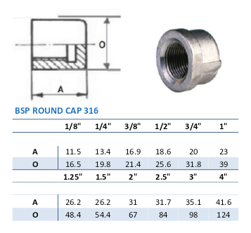 BSP Round Cap | Stainless Steel Vessels Limited